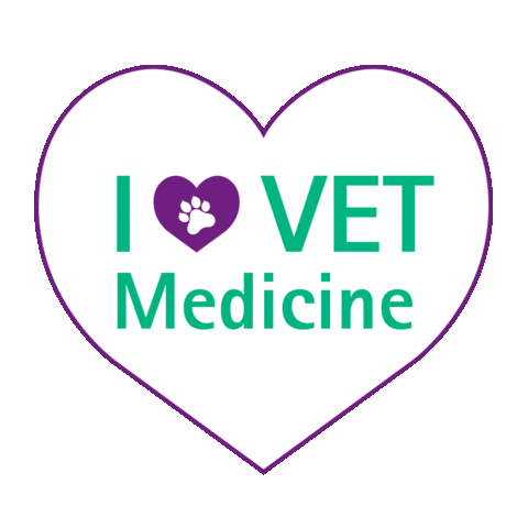 Veterinarian Vetmed Sticker by B. Braun Medical for iOS & Android | GIPHY