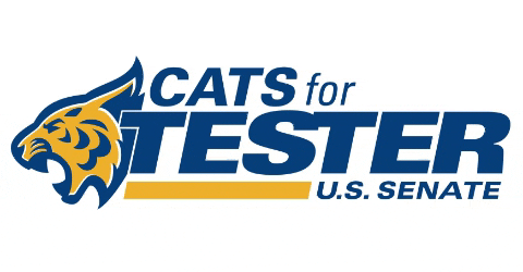 Tester GIFs - Get the best GIF on GIPHY