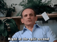 Family-split GIFs - Get the best GIF on GIPHY