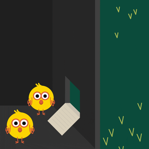 Chicken Outdoor GIFs - Get the best GIF on GIPHY