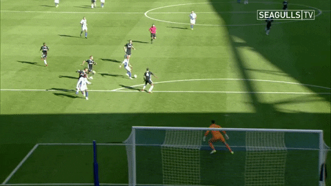 Soccer Futbol GIF by Brighton & Hove Albion Football Club - Find ...
