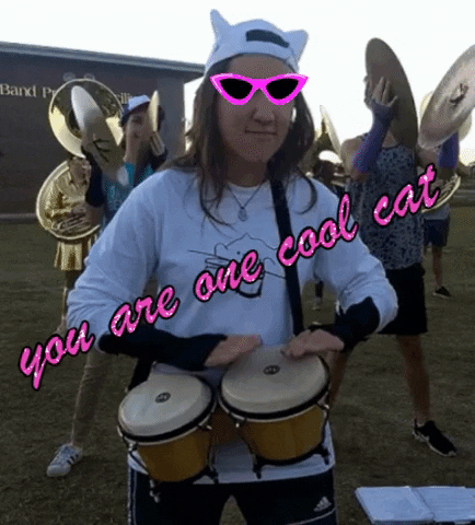 Maximum Cattitude GIFs - Get the best GIF on GIPHY