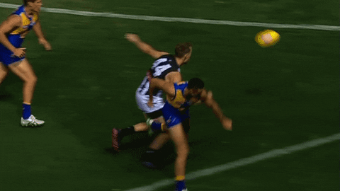 Tricks Handball GIF by CollingwoodFC - Find & Share on GIPHY