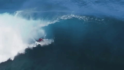 Water Sports Sport GIF by World Surf League - Find & Share on GIPHY