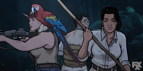 Shoulder-parrots GIFs - Get the best GIF on GIPHY
