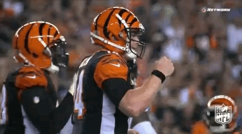 Cincinnati Bengals Football GIF by NFL - Find & Share on GIPHY