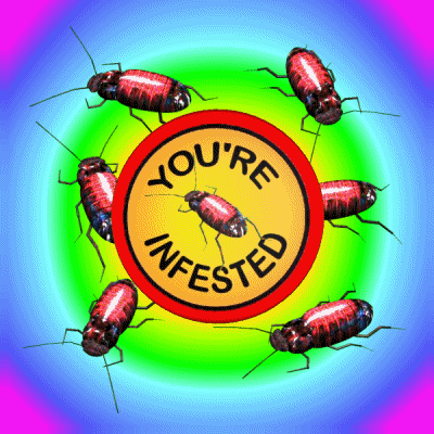 Insect-pest GIFs - Get the best GIF on GIPHY