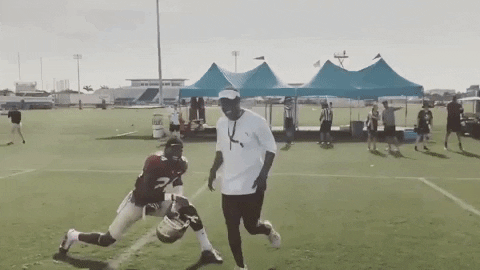 Florida State Seminoles GIFs on GIPHY - Be Animated