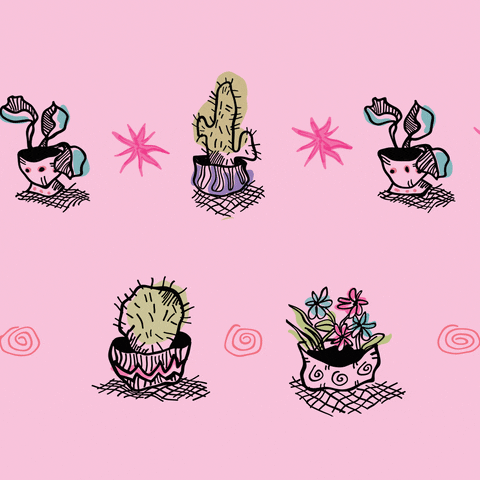 Succulent Animation GIF by emma baynes - Find & Share on GIPHY