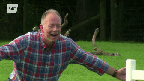 Fferm Ffactor GIFs - Get the best GIF on GIPHY