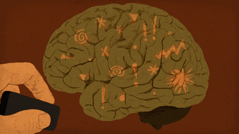 Stupid Brain GIFs - Find & Share on GIPHY