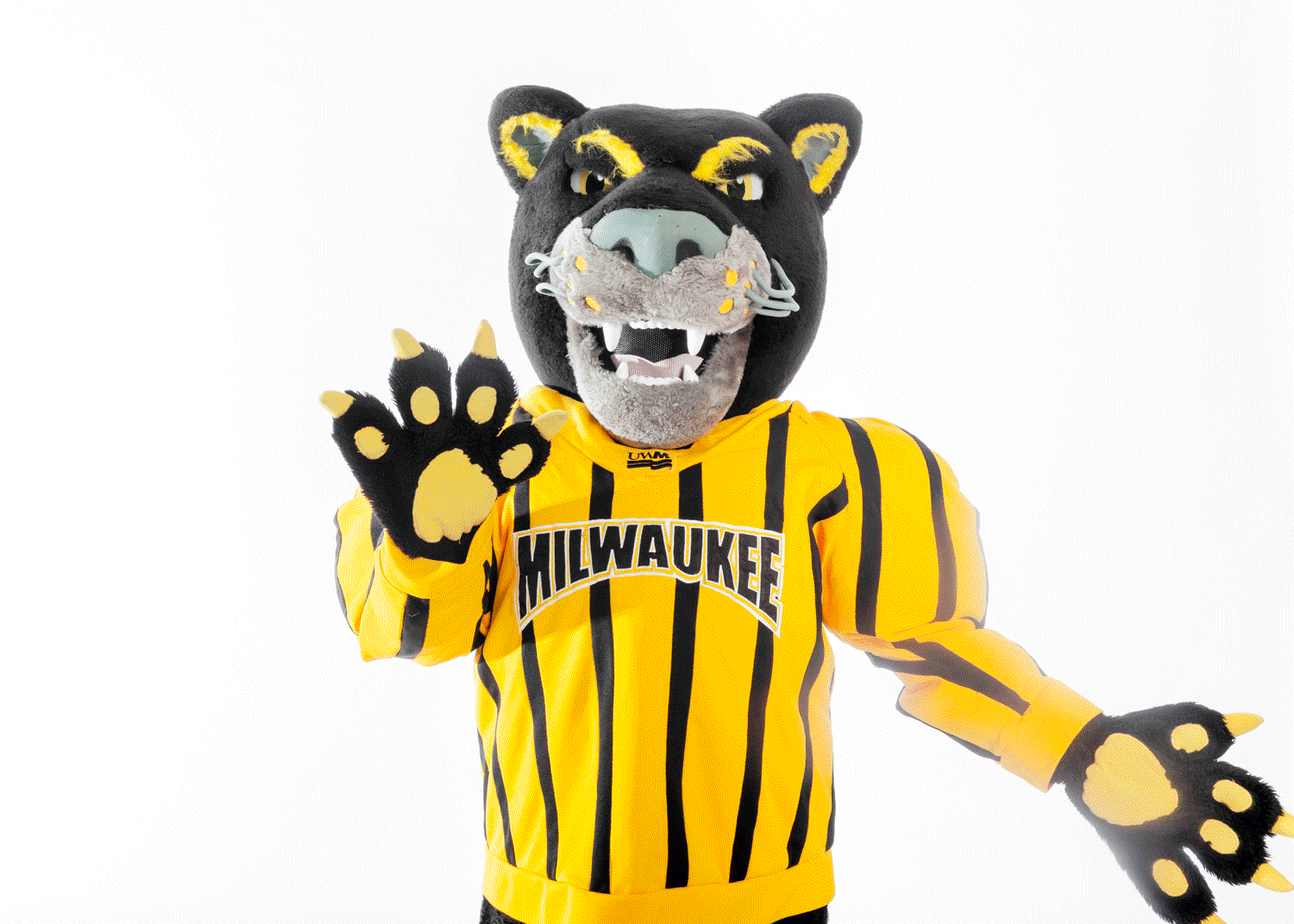 Pounce Black Panther GIF by UW-Milwaukee - Find & Share on GIPHY