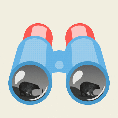 Binoculars Gif