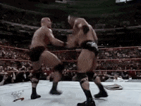 Stone Cold Stunner Gif