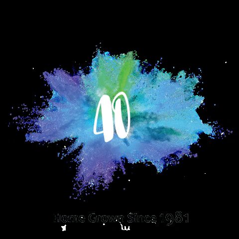 Ink Splatter GIFs - Get the best GIF on GIPHY