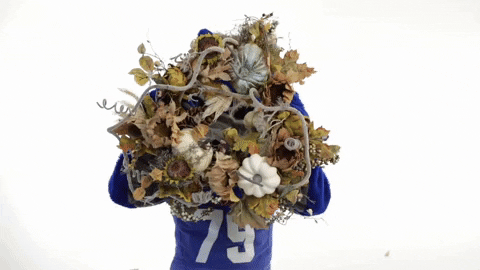 Fallsemester GIFs - Get the best GIF on GIPHY