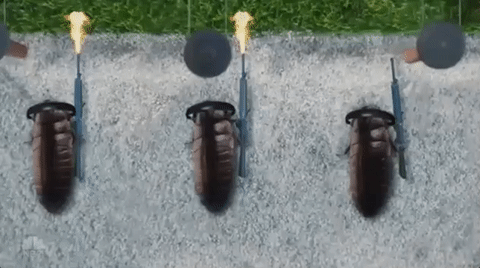 Snl Guns GIF by Saturday Night Live - Find & Share on GIPHY