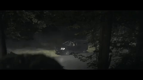 Wind Tree GIFs - Get the best GIF on GIPHY