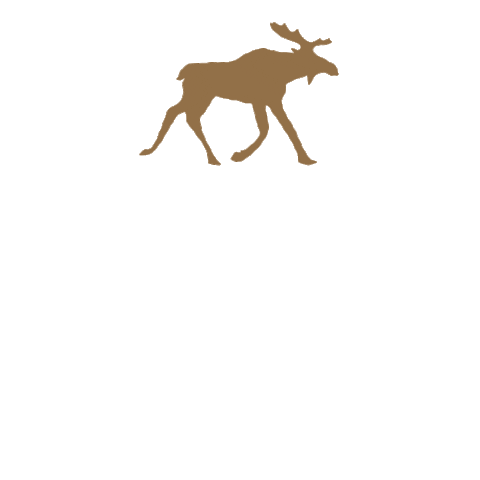 HelloBC GIFs on GIPHY - Be Animated