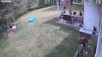 Falling-backward GIFs - Get the best GIF on GIPHY