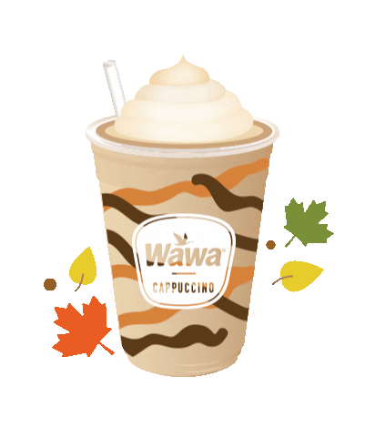 Wawa Run Wonderfall Sticker by Wawa for iOS & Android | GIPHY