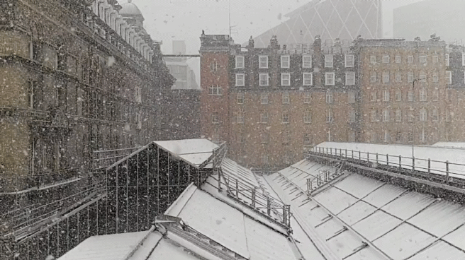 GIF by The Telegraph - Find & Share on GIPHY