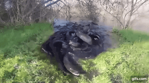 Leviathan Supernatural Gif