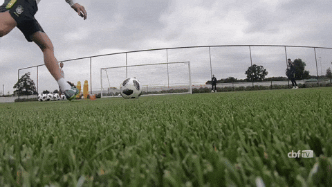 World Cup Brazil GIF by Confederação Brasileira de Futebol - Find ...