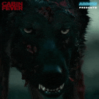 Eli Roth Bear Jew Gif