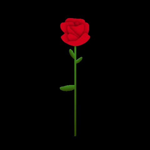 Broken Rose GIFs - Get the best GIF on GIPHY