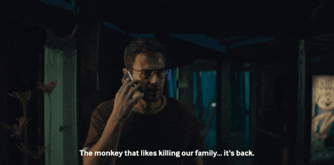 The Monkey GIFs on GIPHY - Be Animated
