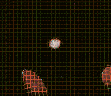 Water Computer GIF by Alan Resnick - Find & Share on GIPHY