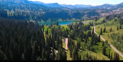 Utah Boxer GIFs - Find & Share on GIPHY