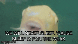Never-sleep GIFs - Get the best GIF on GIPHY