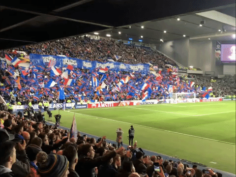 Union Bears Display | FollowFollow.com