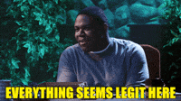Seems Legit Gif