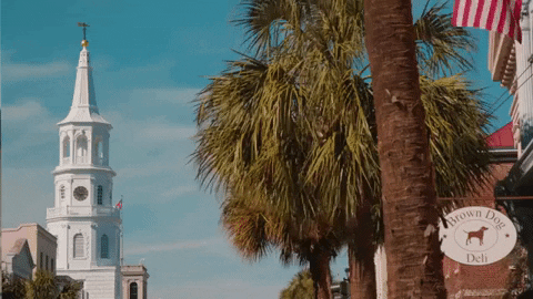 Faith Students South Carolina GIFs - Get the best GIF on GIPHY