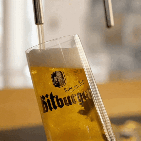 Draught Beer Drinking GIF by Bitburger - Find & Share on GIPHY