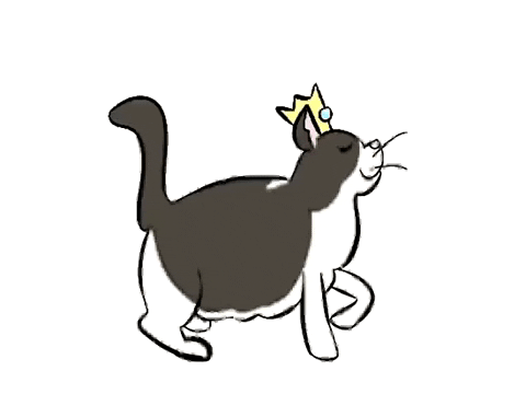 Snooty Cat GIFs - Get the best GIF on GIPHY
