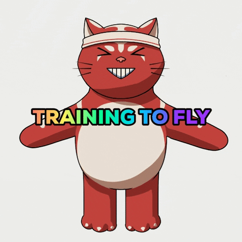 Happycat GIFs - Get the best GIF on GIPHY