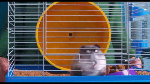 The Secret Life of Pets 2 Celebrates National Puppy Day by The Secret ...