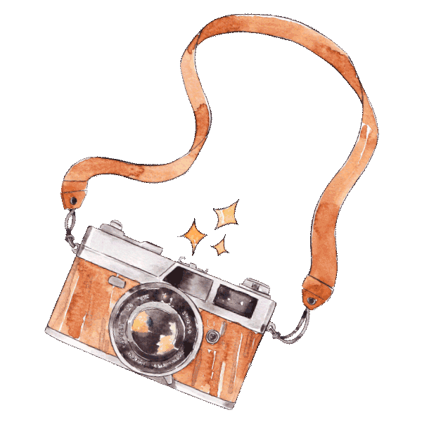 Vintage Camera Sticker for iOS & Android | GIPHY