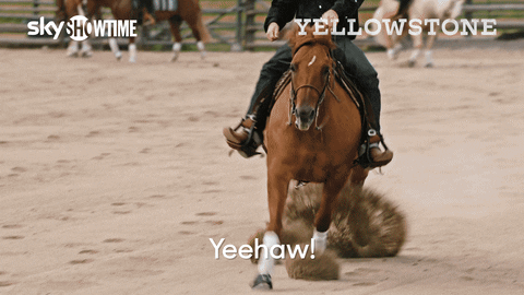 Yellowstone GIFs on GIPHY - Be Animated