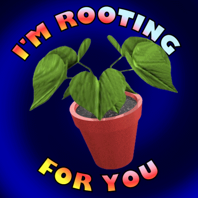 Pot-plant GIFs - Get the best GIF on GIPHY