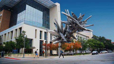 Utaustin Texasscience GIF by College of Natural Sciences, UT Austin ...