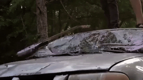 Frameworks GIF by Topshelf Records - Find & Share on GIPHY