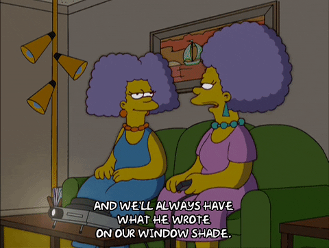 Window Shade GIFs - Get the best GIF on GIPHY