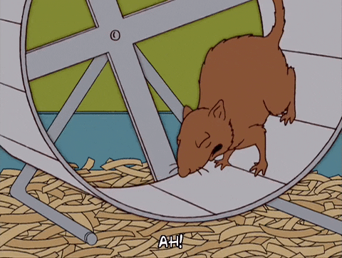 Rat-attack GIFs - Get the best GIF on GIPHY