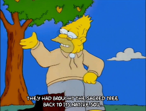 Season 6 Episode 25 GIF - Find & Share on GIPHY