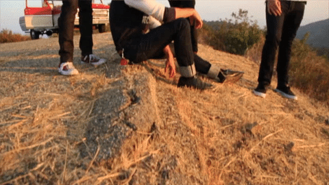 GIF by The Shelters - Find & Share on GIPHY